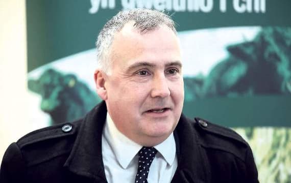 MP backs girls' rights to education around the world | cambrian-news.co.uk