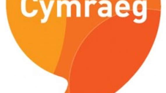 ‘Do more to help customers use Welsh’ | cambrian-news.co.uk
