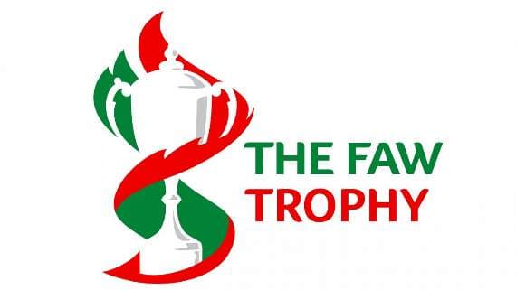 Llanidloes book their place in last 32 | cambrian-news.co.uk