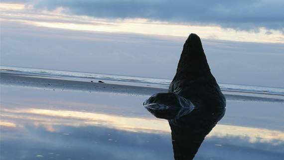 Reader's photo captures the history of Borth beach | cambrian-news.co.uk