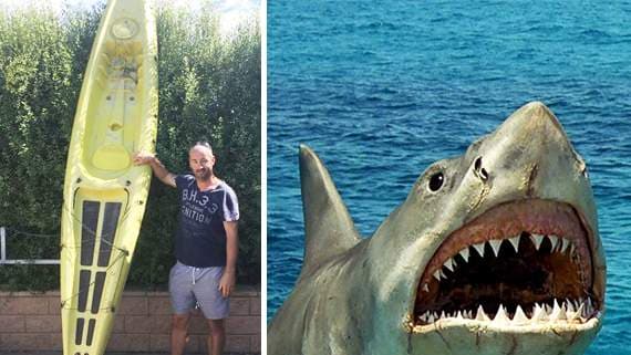 Aberystwyth man in great white shark scare | cambrian-news.co.uk