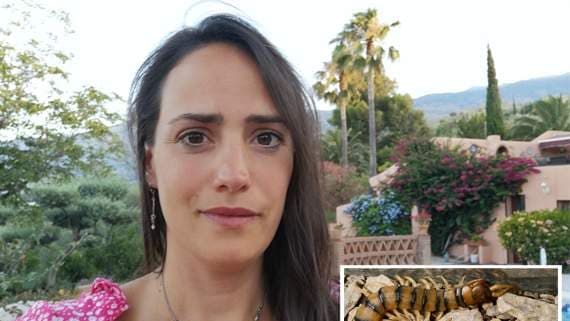 Shock at venomous centipede stowed away in luggage | cambrian-news.co.uk