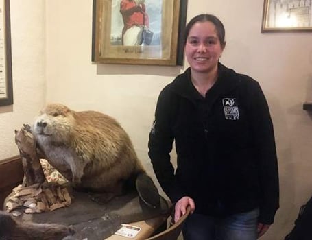 Project hopes to reintroduce beavers to Dyfi Valley | cambrian-news.co.uk