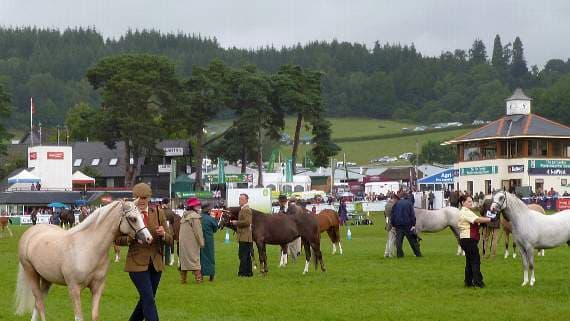 Royal Welsh Winter Fair to go ahead this year | cambrian-news.co.uk