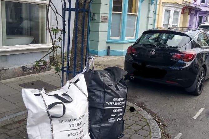 Seagull-proof sacks to solve Aber bin day mess | cambrian-news.co.uk