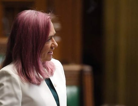 MP makes poignant plea for better dementia care | cambrian-news.co.uk