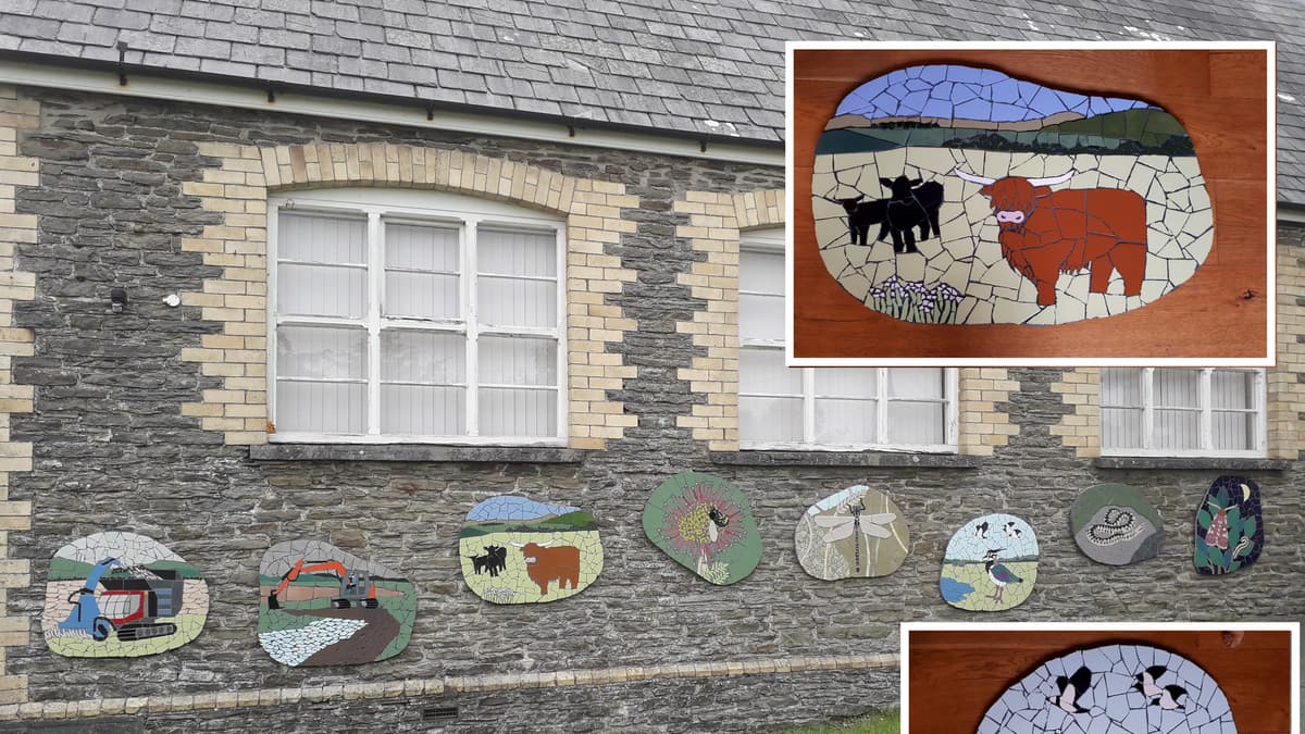 Mural to celebrate Cors Caron | cambrian-news.co.uk