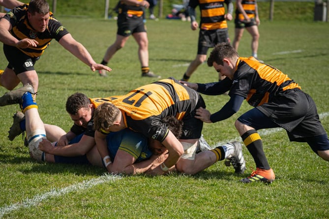 Saturday to remember for Aberaeron Rugby Club | cambrian-news.co.uk