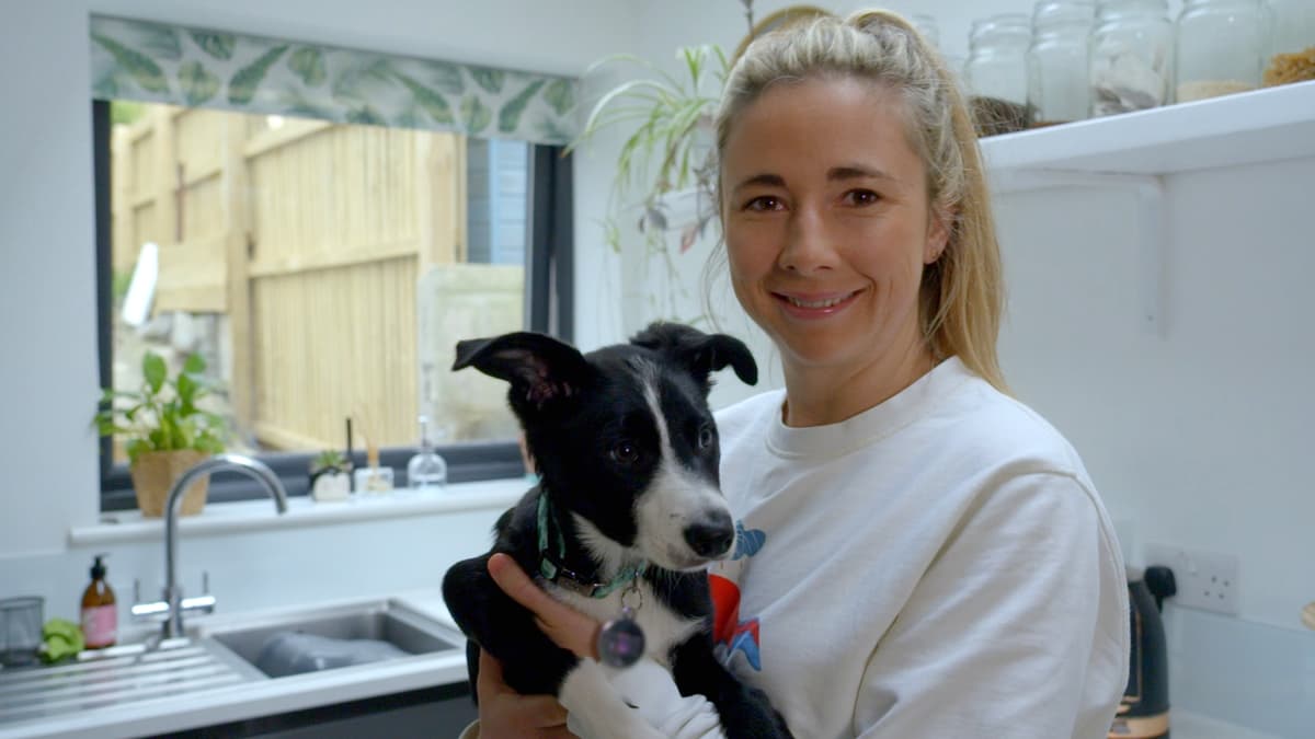 Llanbadarn vets return to TV screens | cambrian-news.co.uk