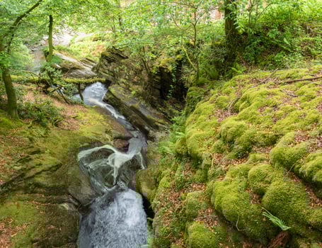 National Trust to take over running of the Hafod Estate | cambrian-news ...