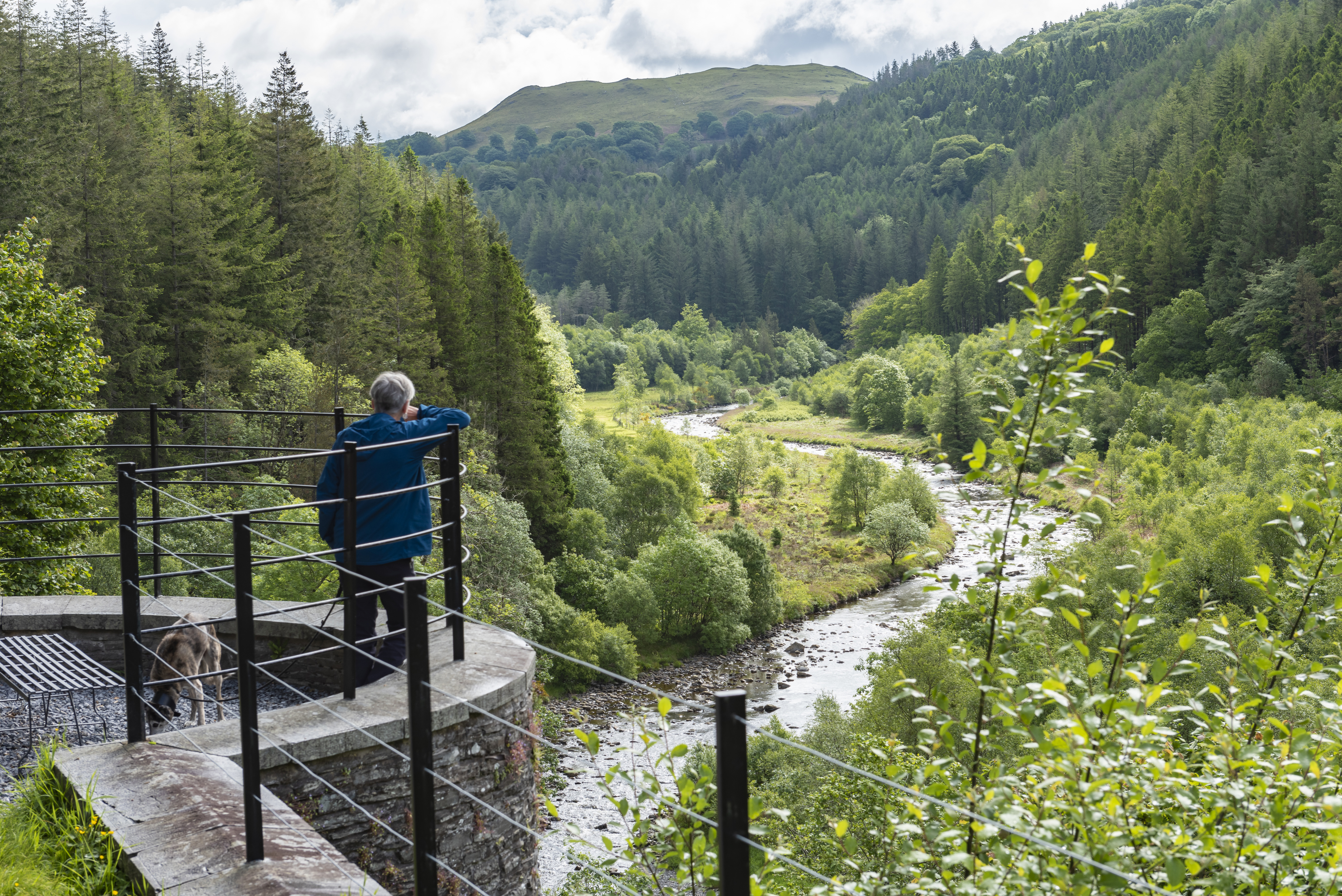 National Trust to take over running of the Hafod Estate | cambrian-news ...