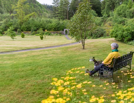 National Trust to take over running of the Hafod Estate | cambrian-news ...