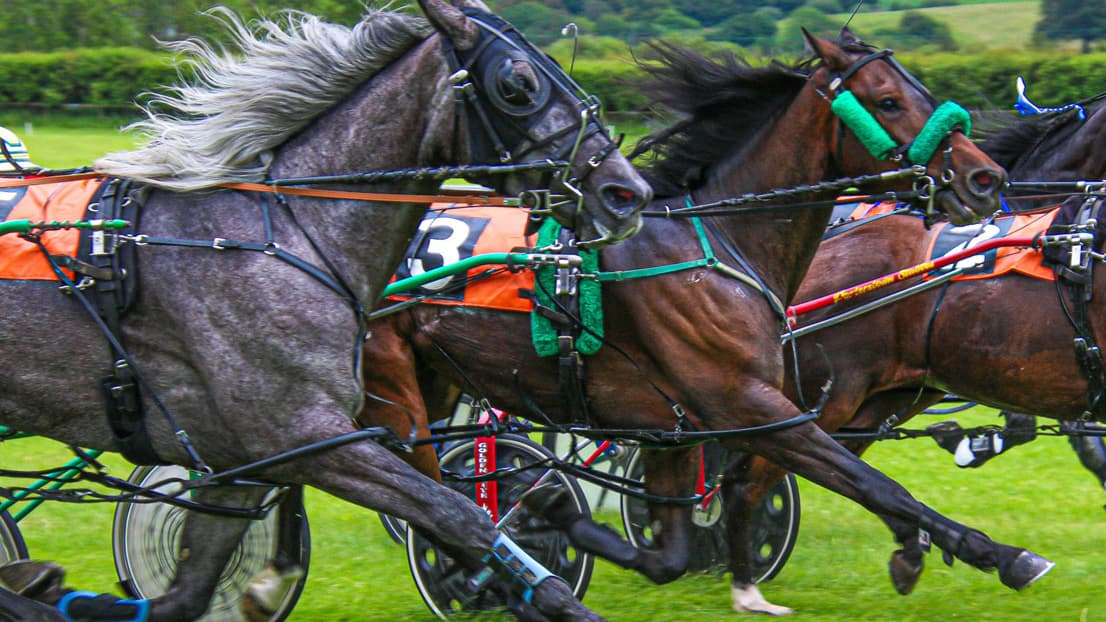 Popular harness racing fixture returns to its rightful home | cambrian ...