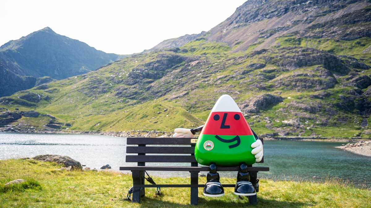 Mistar Urdd reaches dizzying heights to celebrate the Urdd’s centenary ...