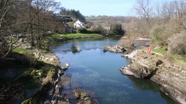 Council criticised for lack of progress over River Teifi pollution ...