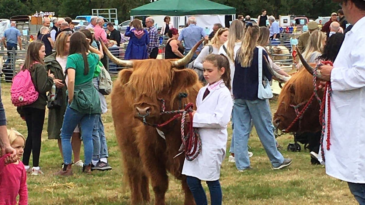 Merioneth show returns | cambrian-news.co.uk