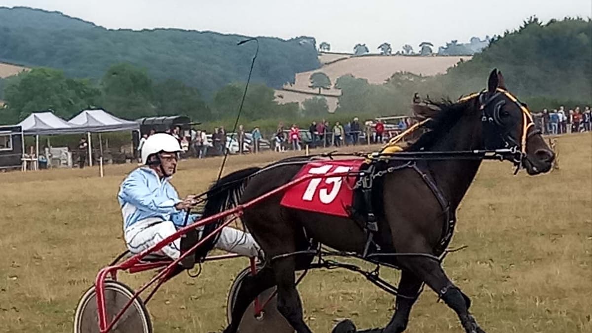 Llwyns Mercy wins debut Grade A race at Presteigne | cambrian-news.co.uk