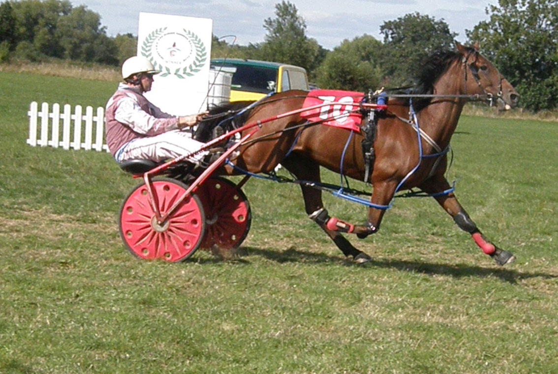 Plenty to celebrate on final day of Wales & Border Harness Racing ...