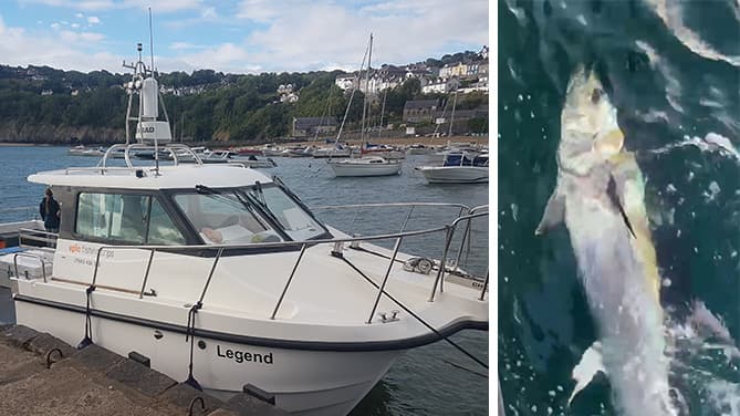 Cardigan Bay fishing company among first in Wales allowed to catch ...