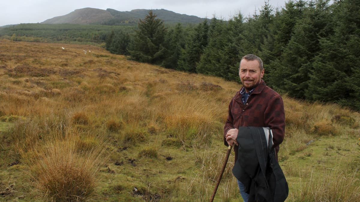 Snowdonia dream job could be yours | cambrian-news.co.uk