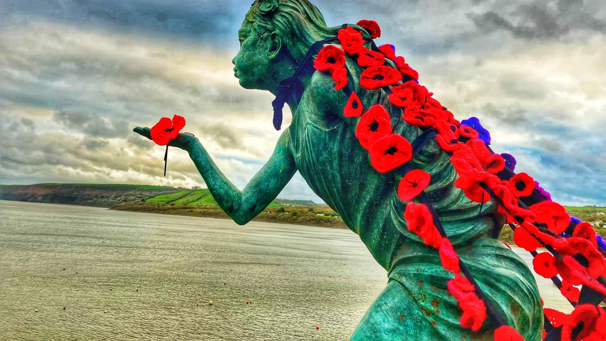 Crocheted creations mark Remembrance Day in Ceredigion village ...
