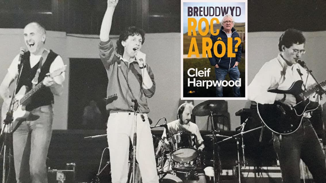 Cleif Harpwood: Hapus wrth ei hun mewn breuddwyd roc a rôl? | cambrian ...