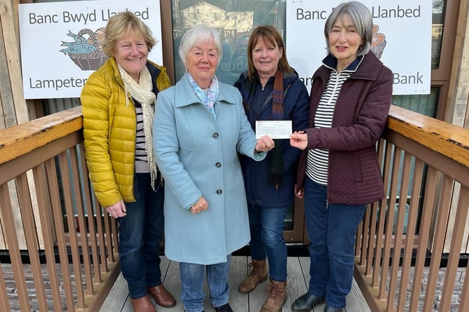 Plaid Cymru councillors donate to food banks in the run-up to Christmas ...