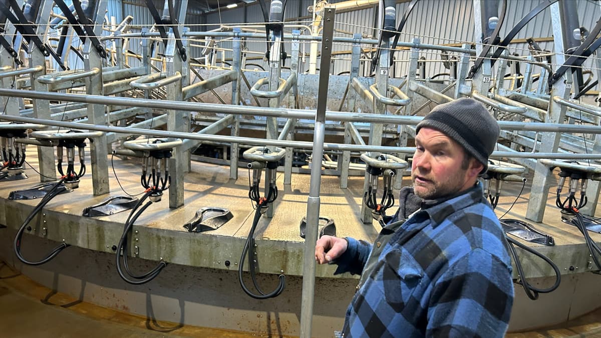 Dairy farmer shares bovine TB concerns | cambrian-news.co.uk