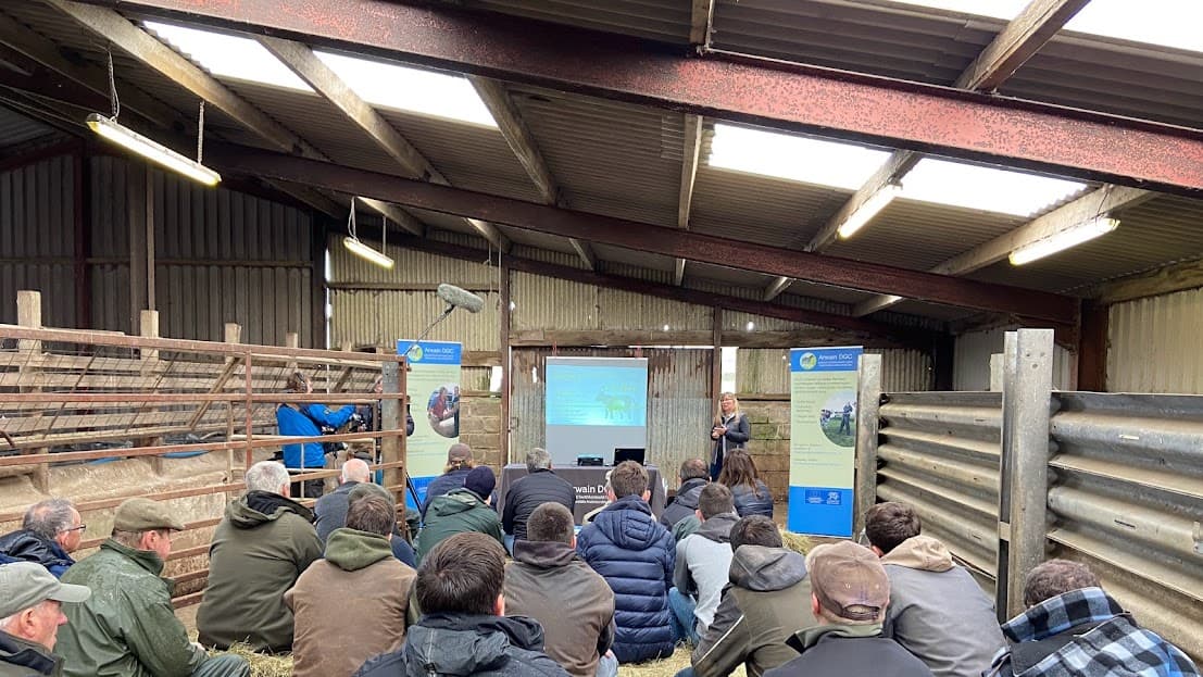 Pwllheli farmer to demonstrate antibiotic reduction techniques ...