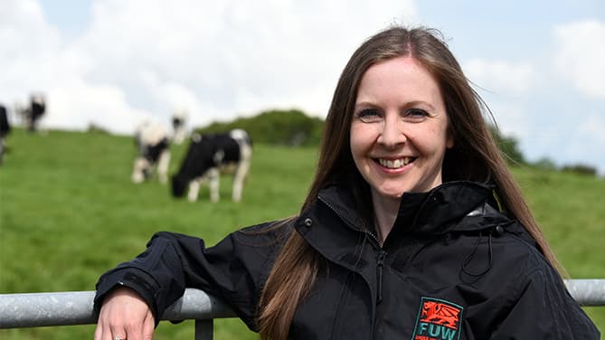 FUW issues warning over plans for BVD control in Wales | cambrian-news ...