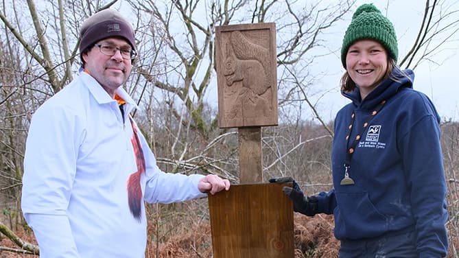 Project to protect mid Wales' red squirrels | cambrian-news.co.uk