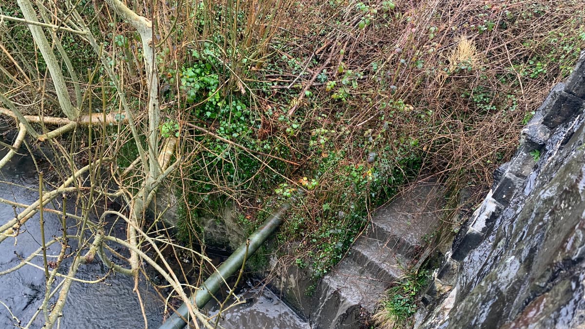 Incidents spark calls for Ceredigion residents to report river ...