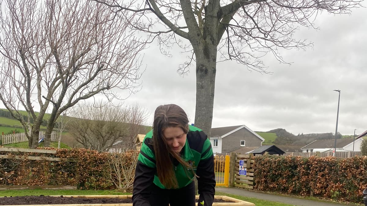 Aber Town player plants tree in Penrhyncoch to honour late father Kev ...