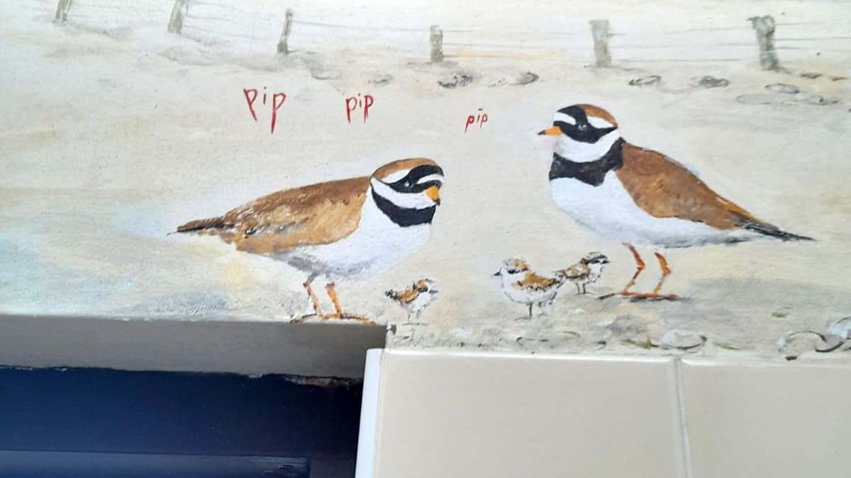 Llandanwg's loo with a view mural has serious wildlife message ...