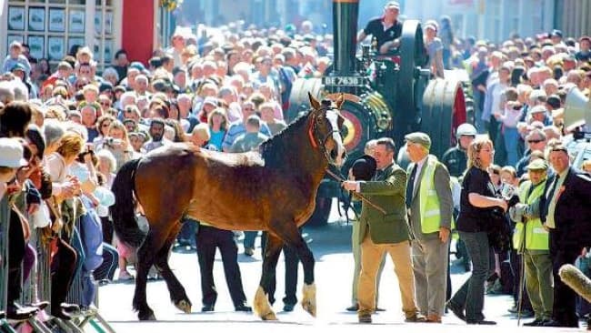 Barley Saturday parade returns to Cardigan streets | cambrian-news.co.uk