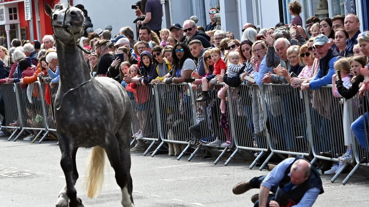 Woman injured after horse bolts at Barley Saturday | cambrian-news.co.uk