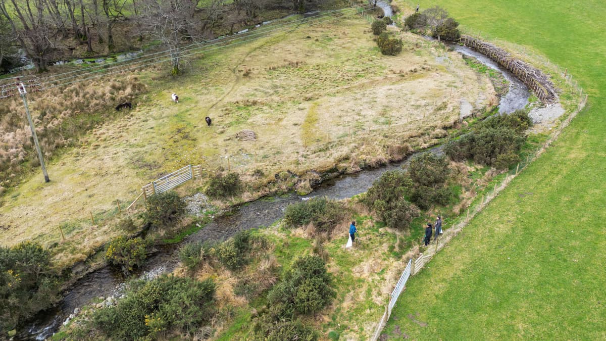 Volunteers help plant 150 trees by river to boost fish numbers ...