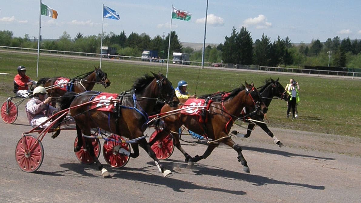 Excitement as Wales & Border Counties Harness Racing season starts ...