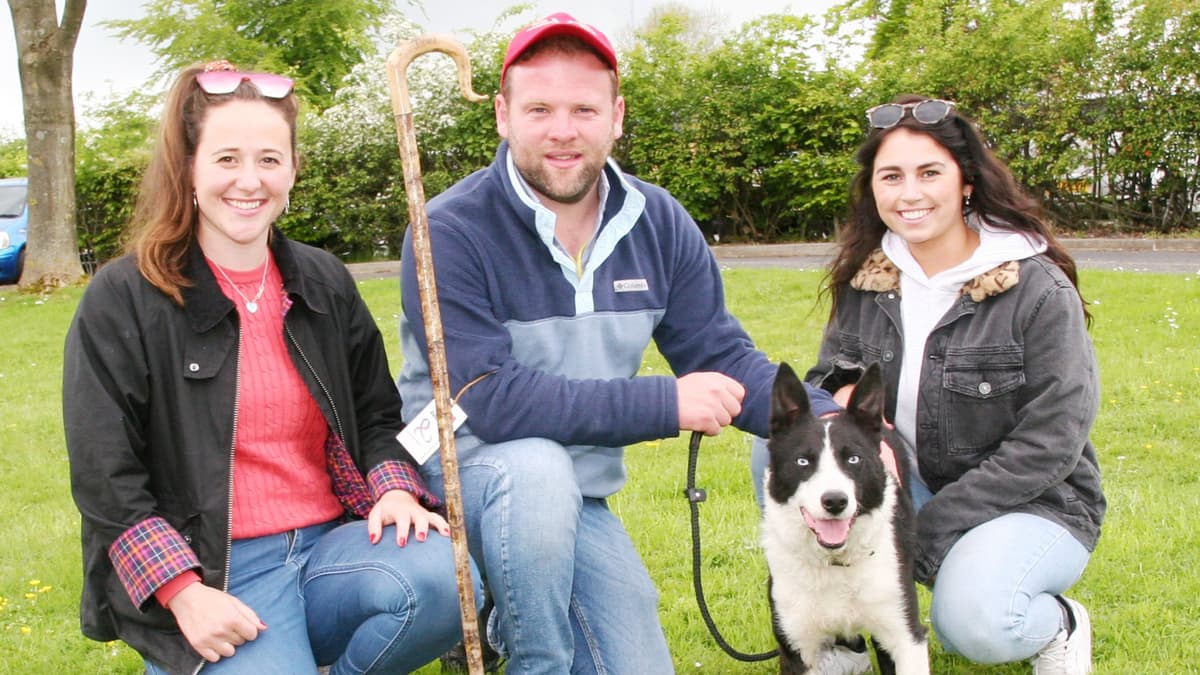 Ceredigion sheepdog handler's success at Yorkshire sale | cambrian-news ...