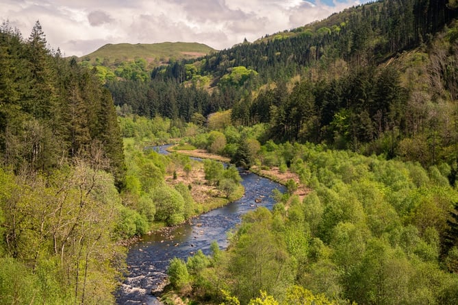 National Trust to set out 10-year plan for Hafod Estate | cambrian-news ...