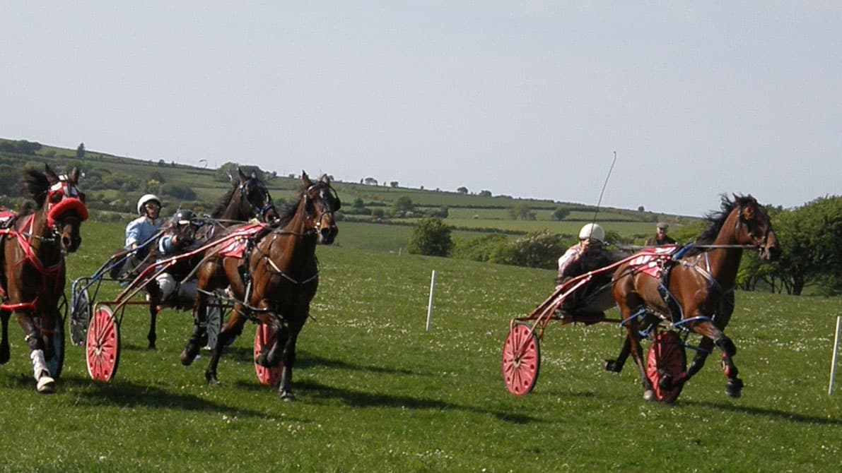 Evergreen Lakeside Pan wins Free for All at Synod Inn | cambrian-news.co.uk