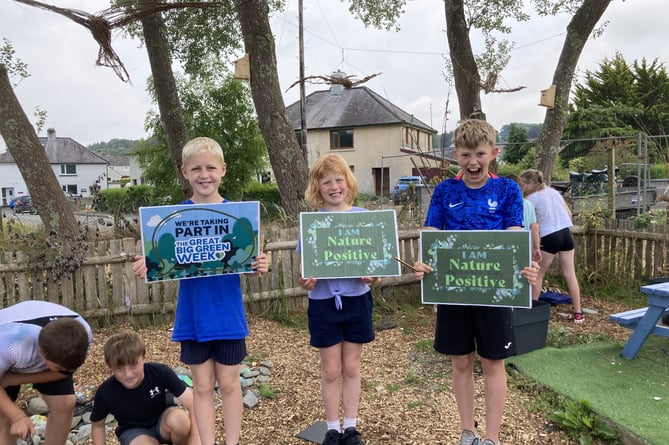 Aberystwyth marks Big Green Week with events | cambrian-news.co.uk