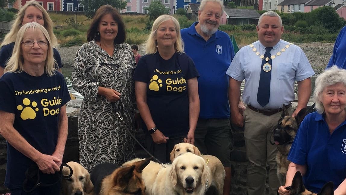 Former guide dogs take on coast path for charity | cambrian-news.co.uk
