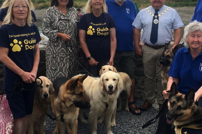 Former guide dogs take on coast path for charity | cambrian-news.co.uk