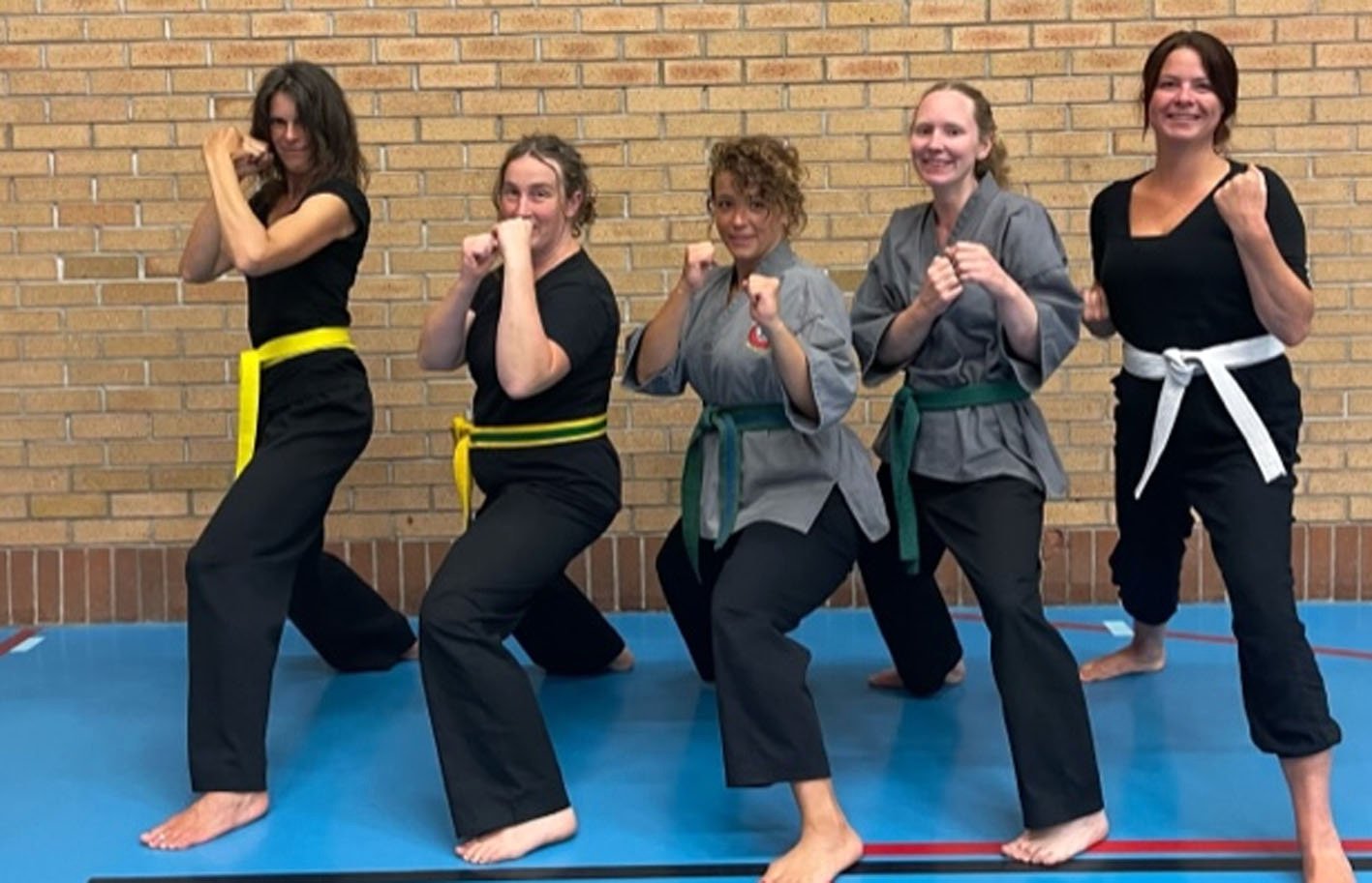 Kung Fu Mamas fighting their way to fitness in Newcastle Emlyn and ...