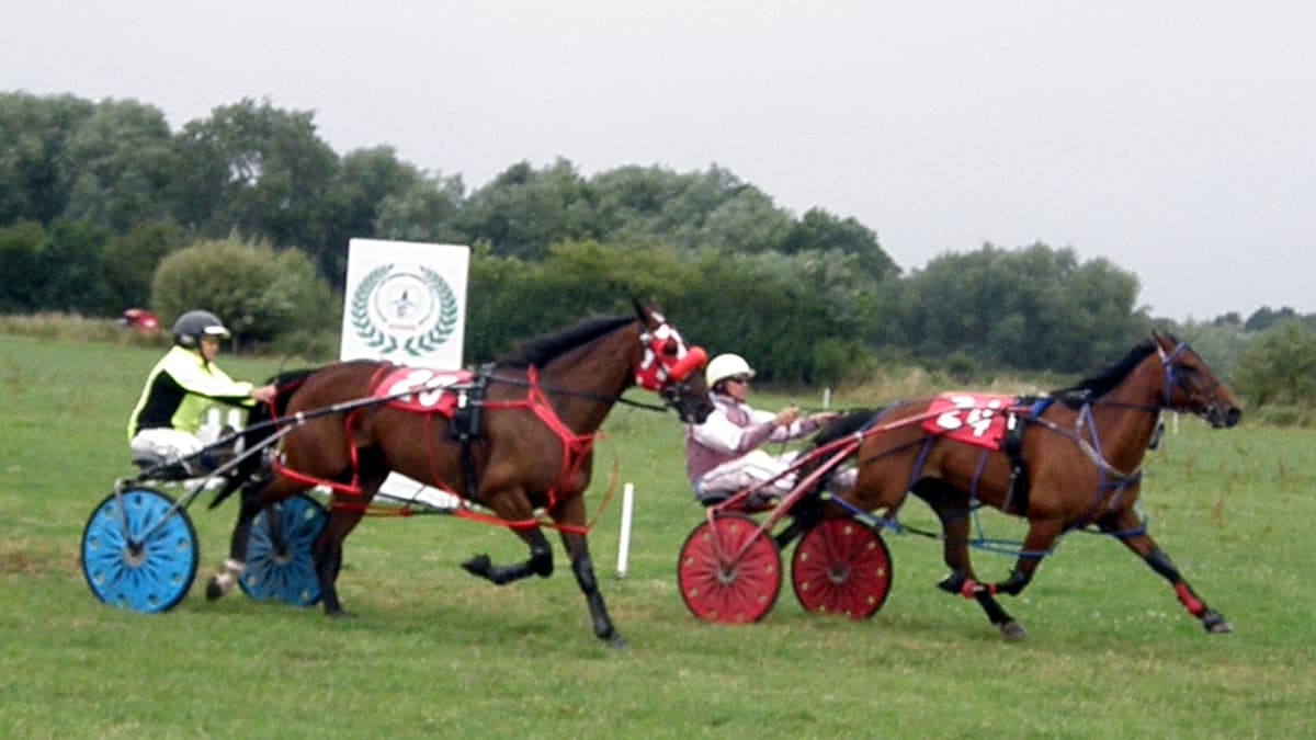 New Quay's Lakeside Pan romps to popular victory at Wales & Border ...