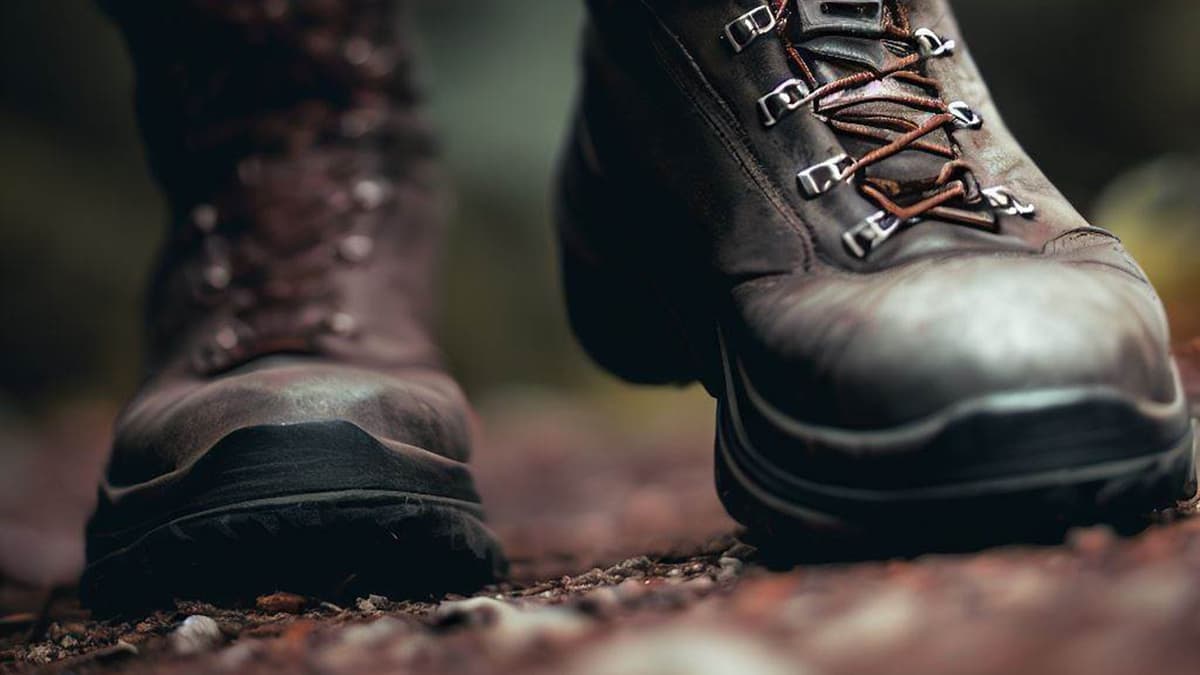 Meirionnydd Ramblers explore scenic Arthog in June walk | cambrian-news ...