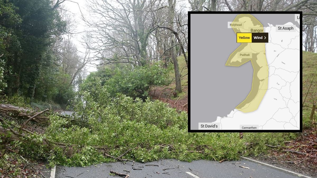 Friday warning for strong winds along west coast of Wales | cambrian ...