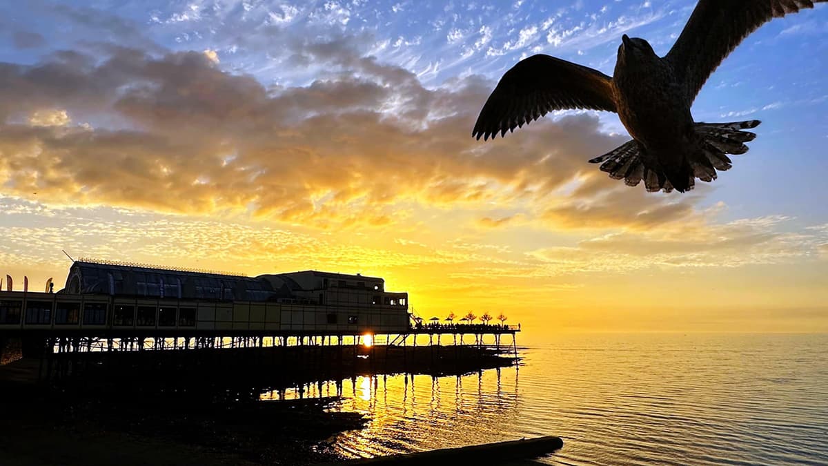Stunning sunsets and silhouettes: Your fantastic photos of local life ...