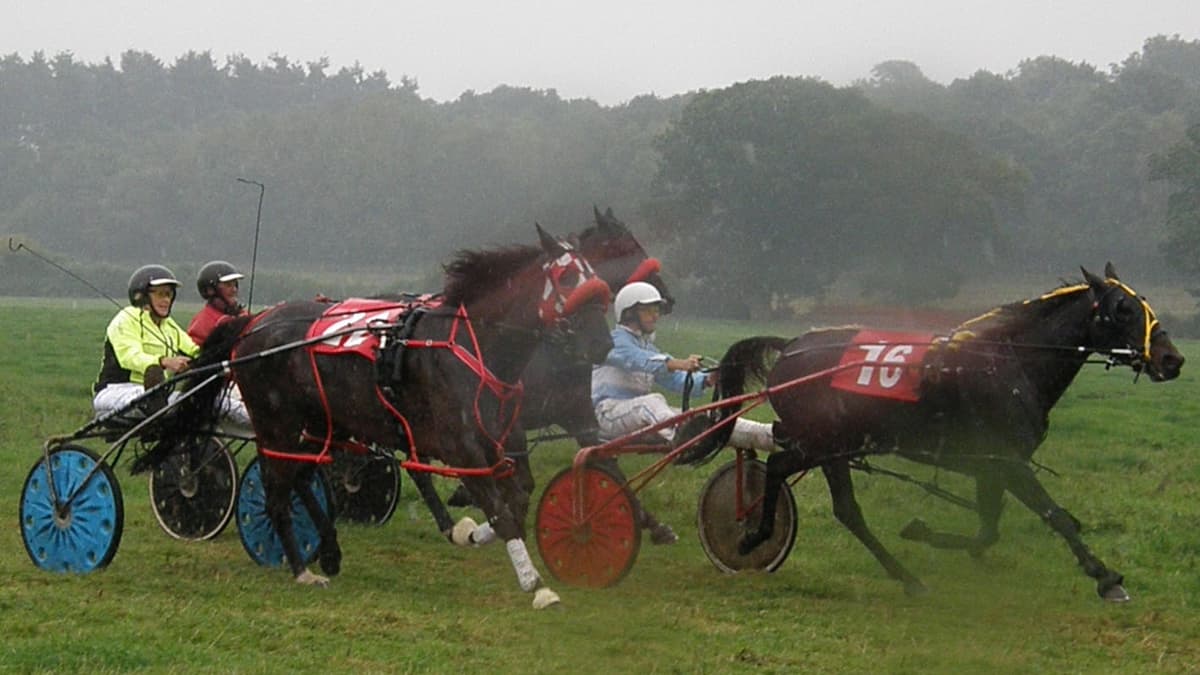 Wales & Border Harness Racing: Llwyns Mercy races to Grade A win at ...